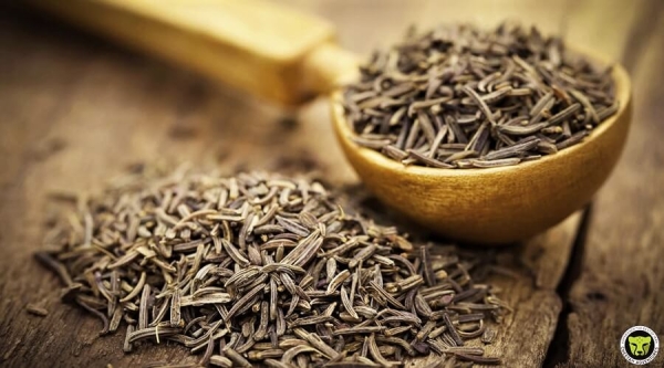 Top Ten Iranian spices - Cheetah Adventures